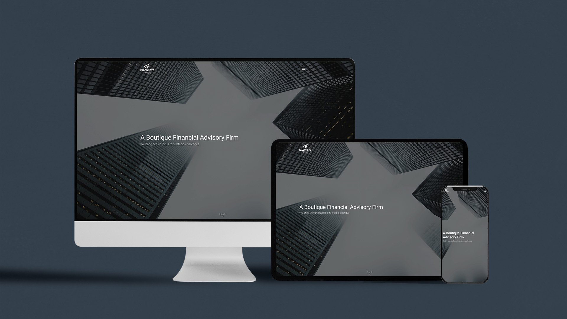 Falconeye Advisors Web Development | Opium Works